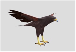 프로젝트명 : Diver (박기현, 서윤성) | hikyun.github.io